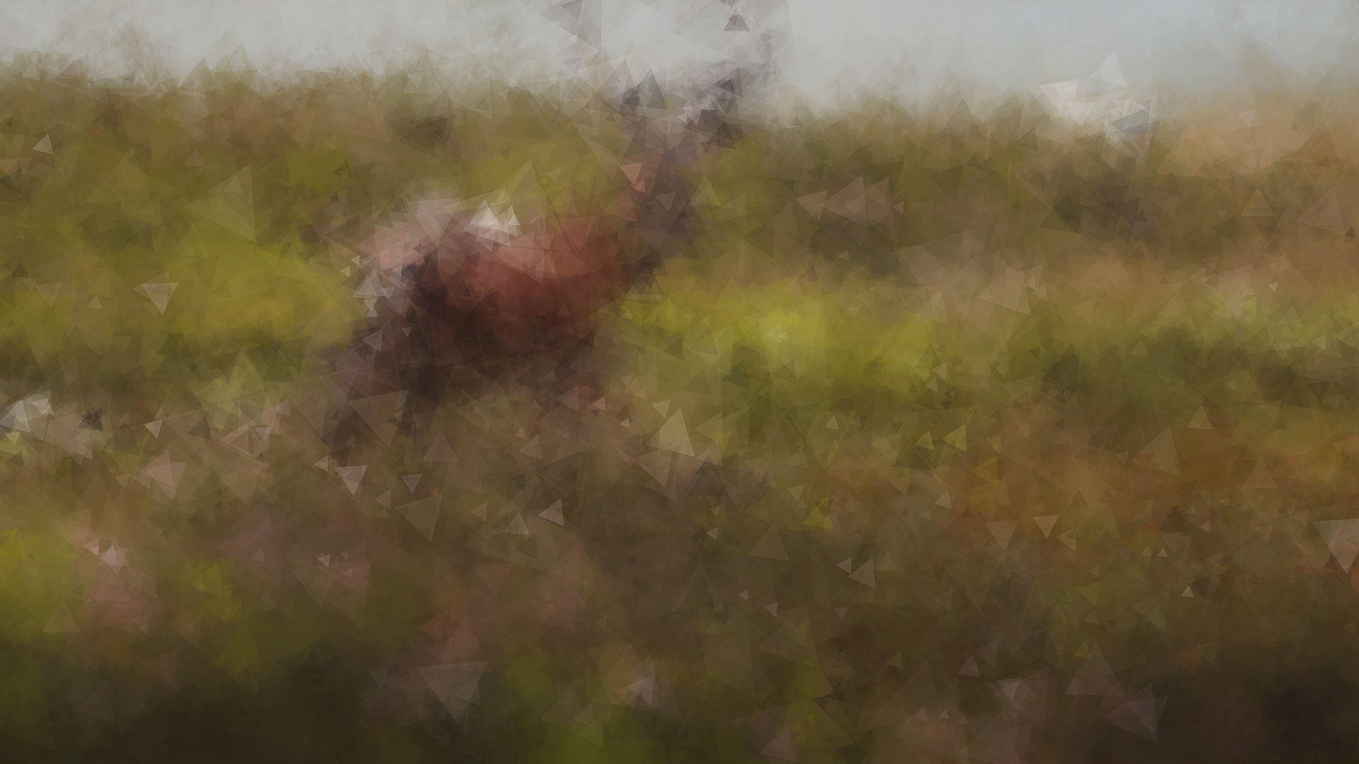 Generative Art | Eric Workman